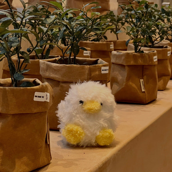 [Made to Order] Baby Benson the Ugly Duckling – Tiny Rabbit Hole by Angie